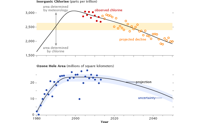 Good News Around The World – The Daily Seal